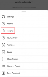 Cara Menggunakan Instagram Insight | Whello Indonesia